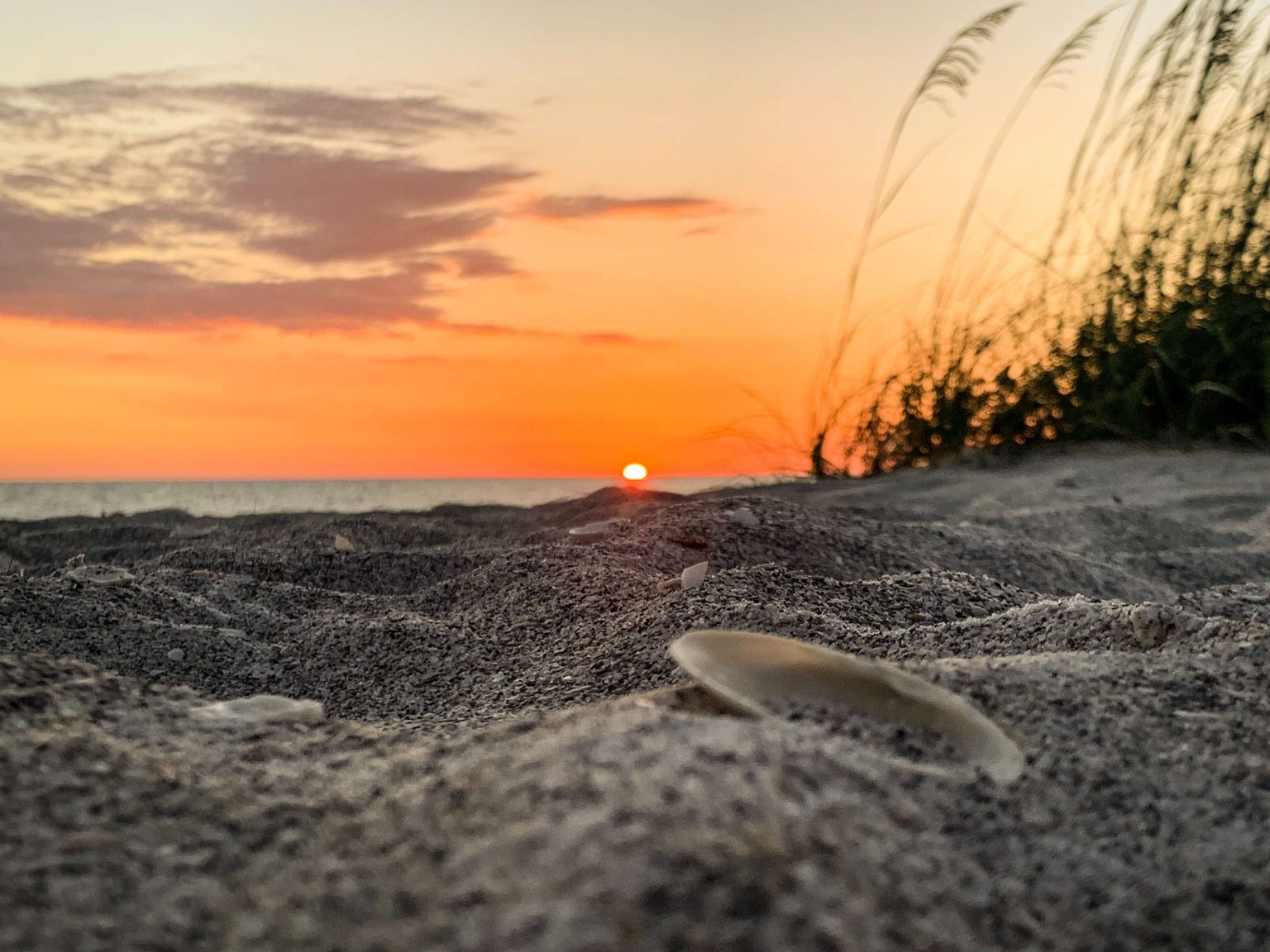 Relax in Nature at these Sites Near Indian Harbour Beach – Oceanique